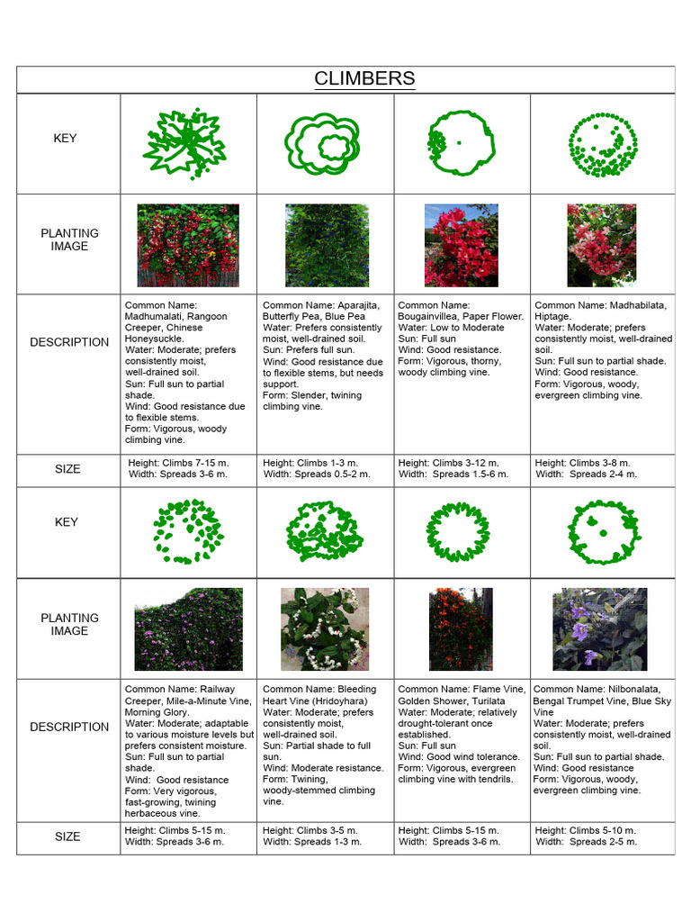 Tree Plantation Chart Group-5-Model 02 | PDF | Plants | Plant Morphology