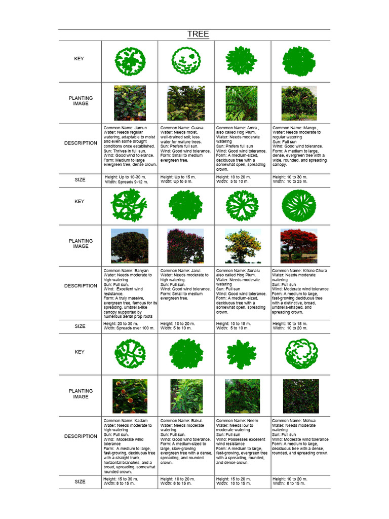 Tree Plantation Guide and Chart | PDF | Trees | Botany