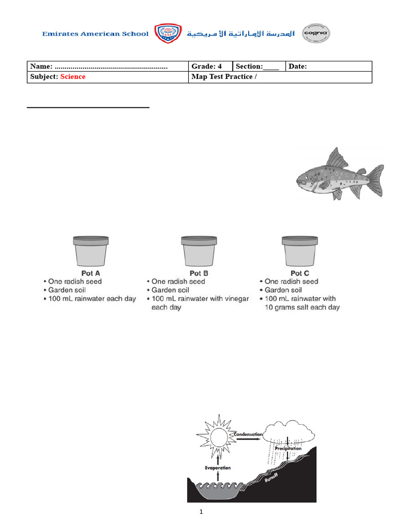 Grade 3 Science - MAP Booklet - 2021-2022-Term 1 1 | PDF | Plant Stem ...