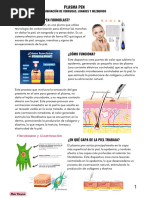 Escala de Glogau | PDF | Piel | Medicina