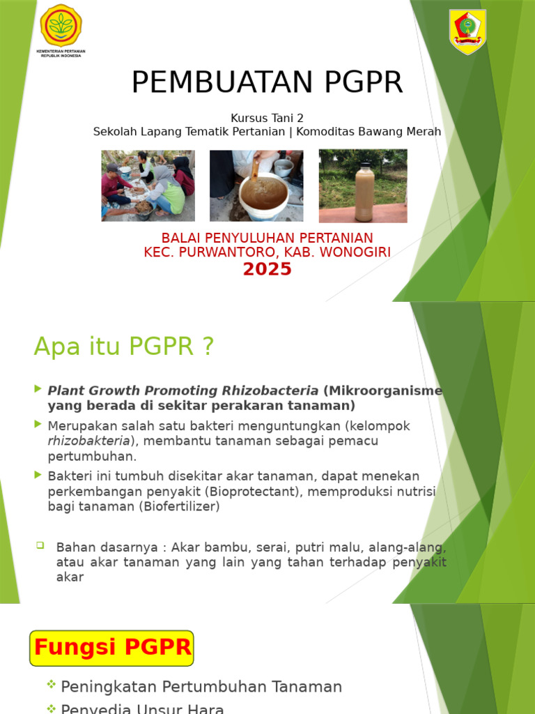Pembuatan PGPR dari Akar Bambu | PDF