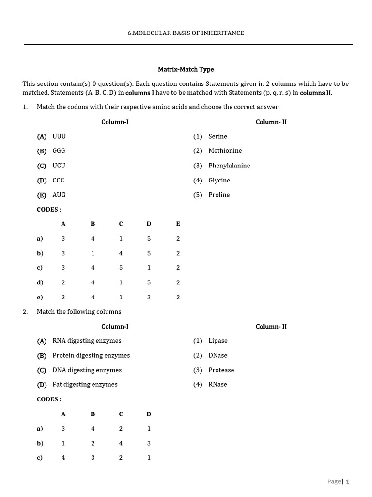 Molecular Inheritance Matching Quiz | PDF | Operon | Gene