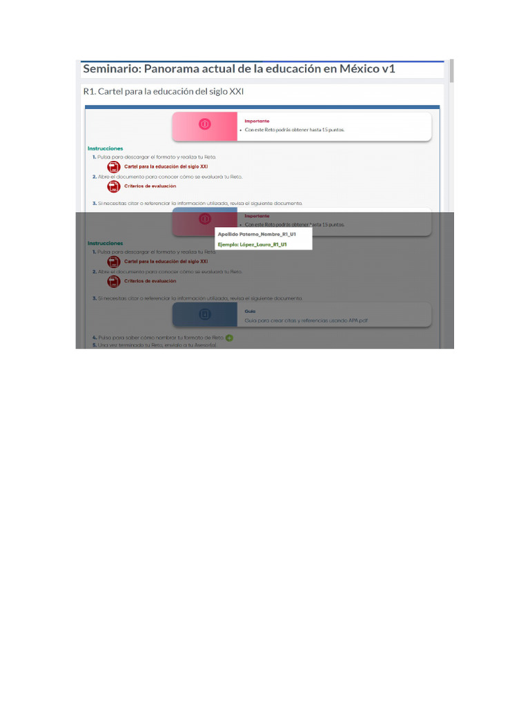 R1 Seminario Pdf