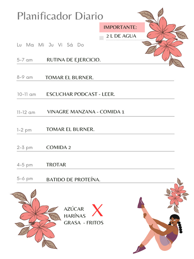 Planificador Diario de Tareas | PDF