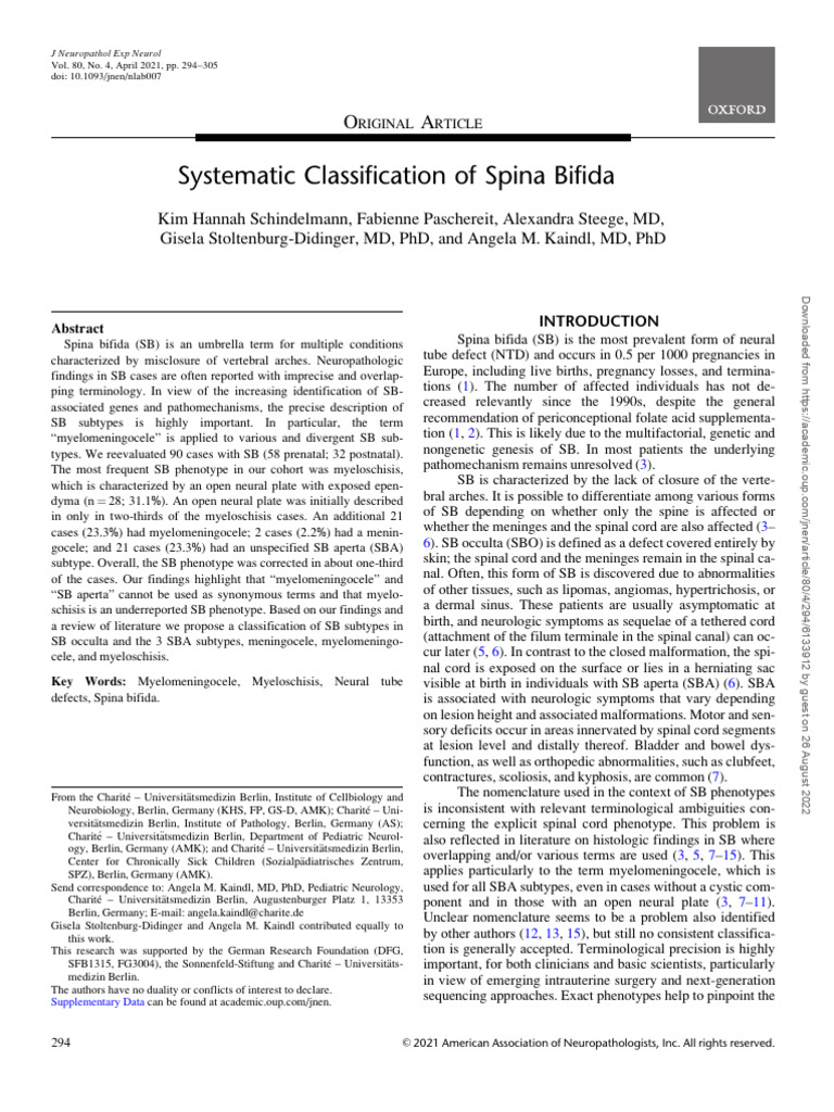 Systematic Classification of Spina Bifida | PDF | Medical Specialties ...