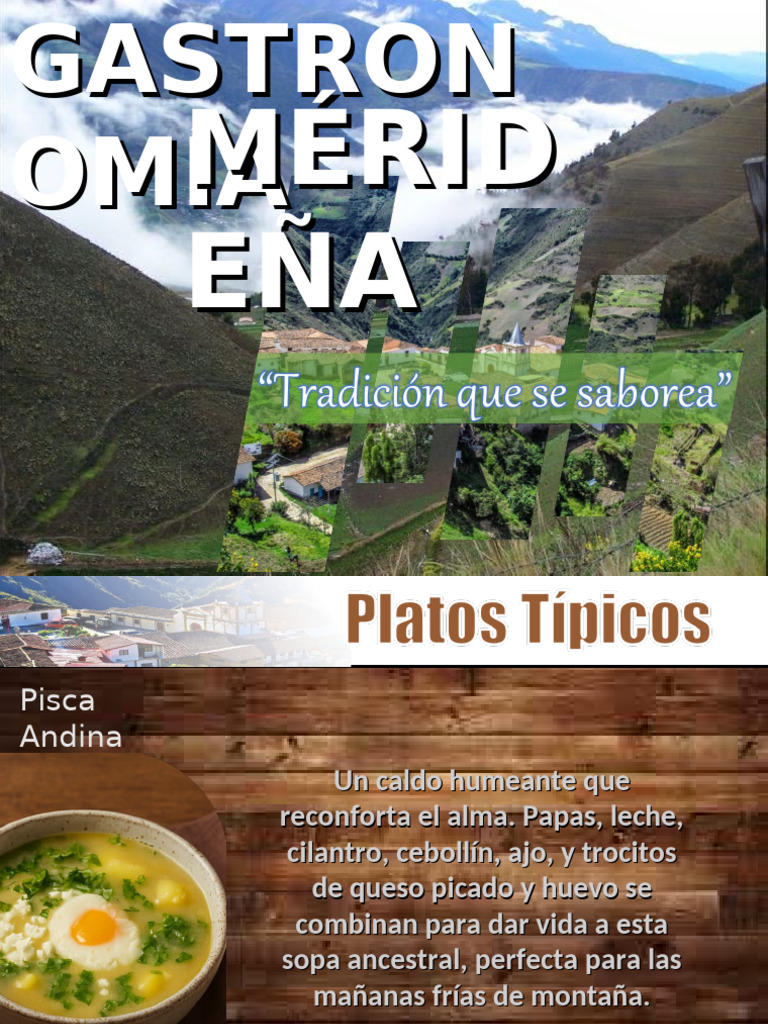 Gastronomia de Meridad | PDF