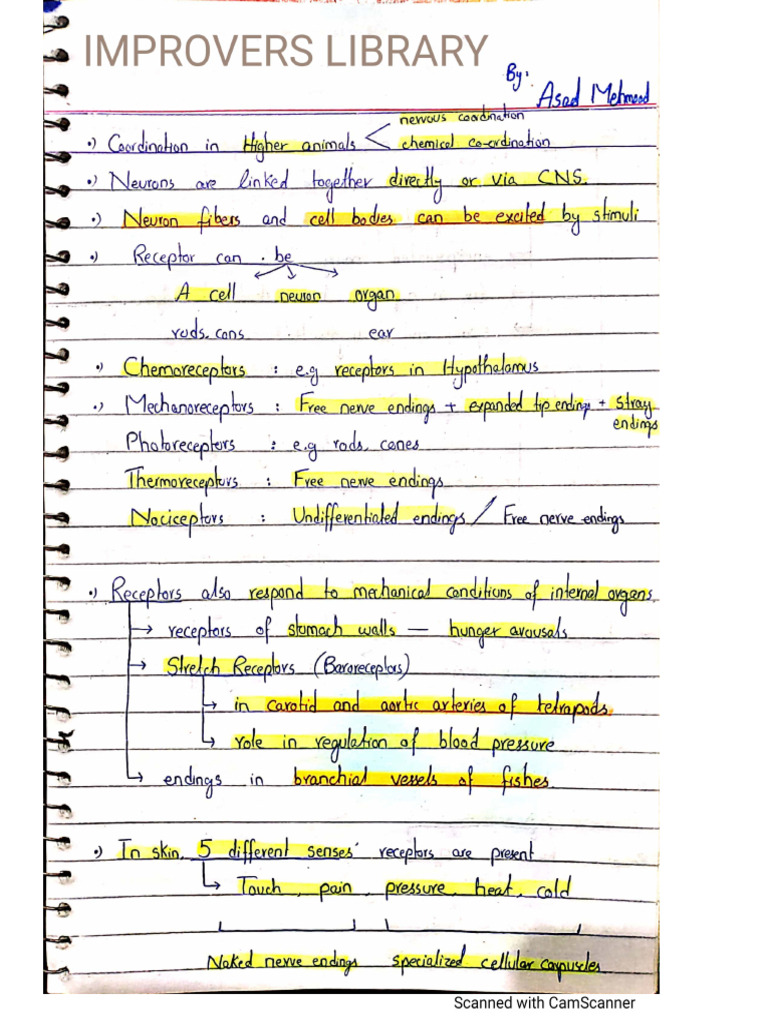 Coordination and Control (Asad) | PDF