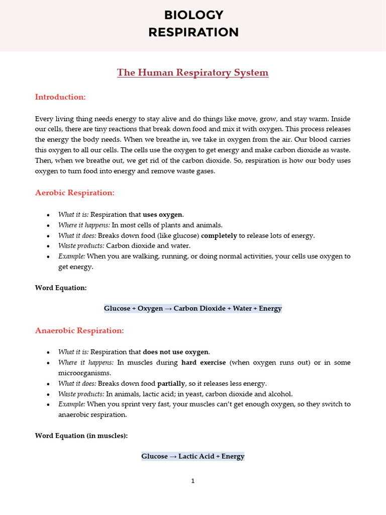 Biology - Respiration | PDF | Breathing | Lung
