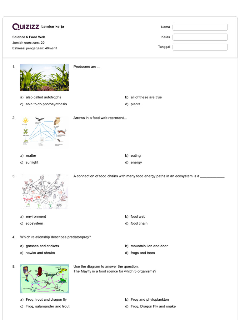 Class 6 Food Web Quiz Worksheet | PDF | Food Web | Foods