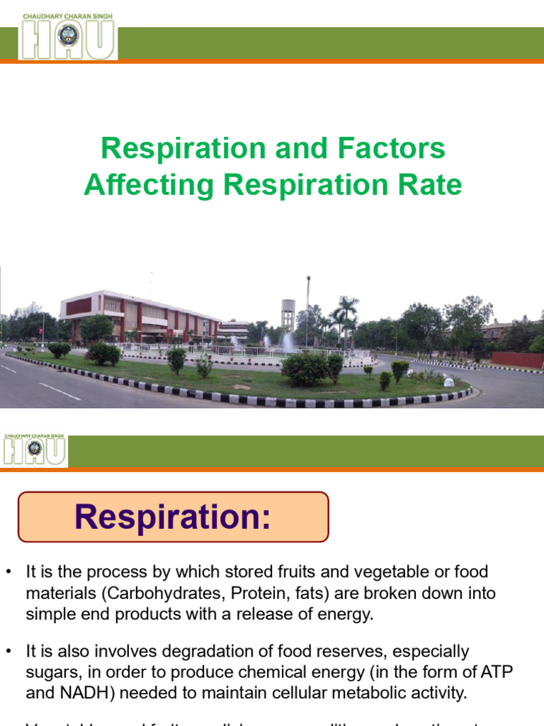 Respiration and Factors Affecting Respiration Rate | PDF | Cellular ...