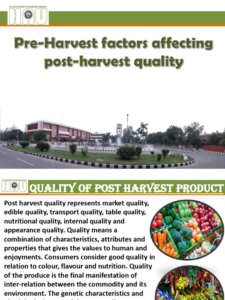 Pre-Harvest Factors Impacting Quality | PDF | Vegetables | Fruit