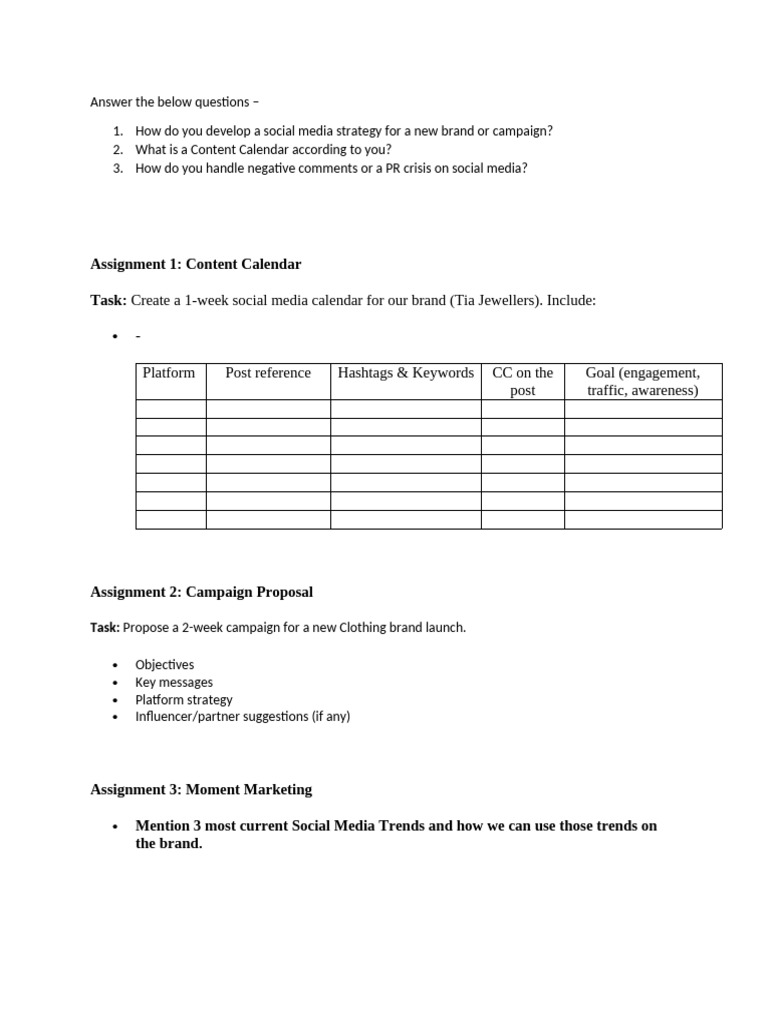 Social Media Assignment | PDF