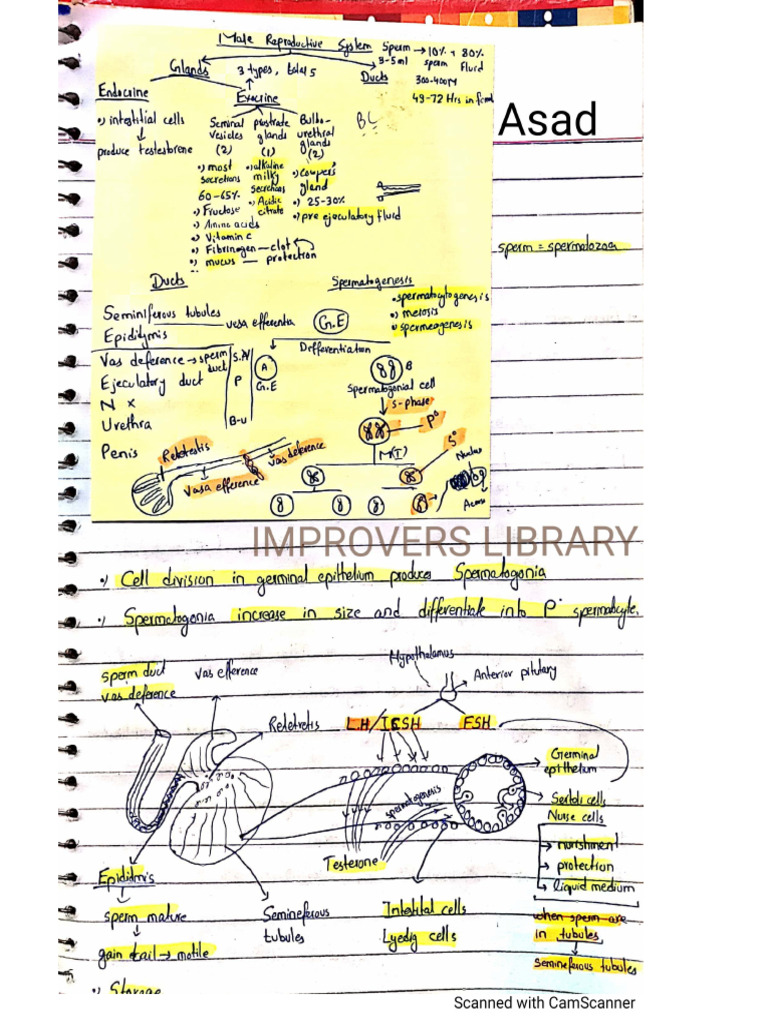 Reproduction (Asad) | PDF