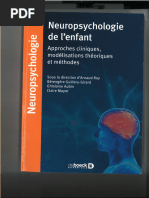 Test de Stroop Victoria : Guide d'utilisation | PDF | Attention | Vert
