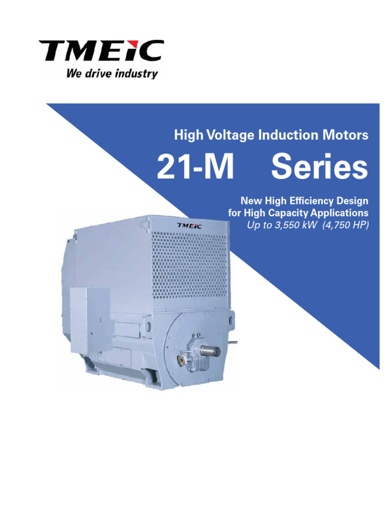 HV Motor | PDF | Electric Motor | Bearing (Mechanical)