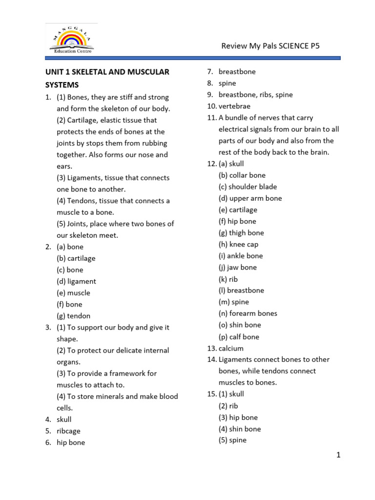 Unit 1 Skeletal and Muscular Systems - Answers | PDF | Skeleton | Muscle