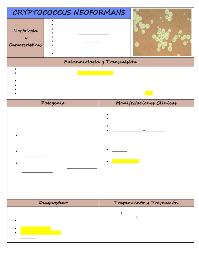 Cryptococcus Neoformans | PDF | Enfermedades y trastornos ...