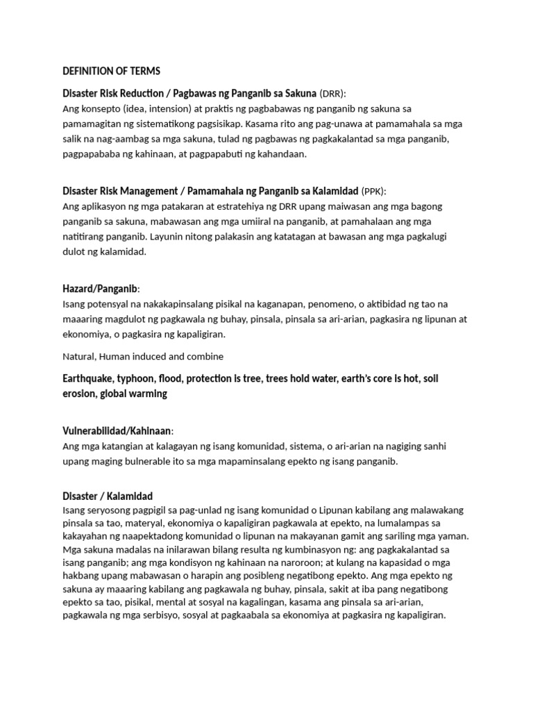 DRRM Terminologies | PDF