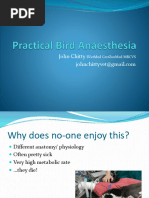 Surgical Safety Checklist 2024 Update | PDF | Anesthesia | Surgery