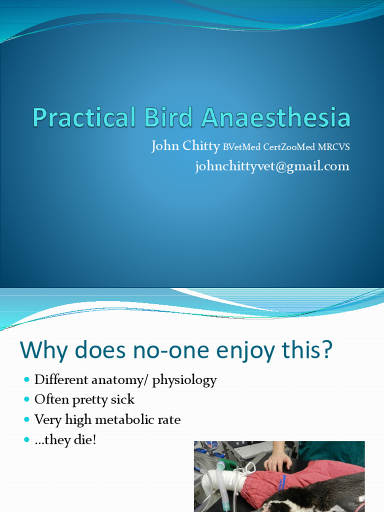 Avian Anaesthesia India | PDF | Anesthesia | Breathing