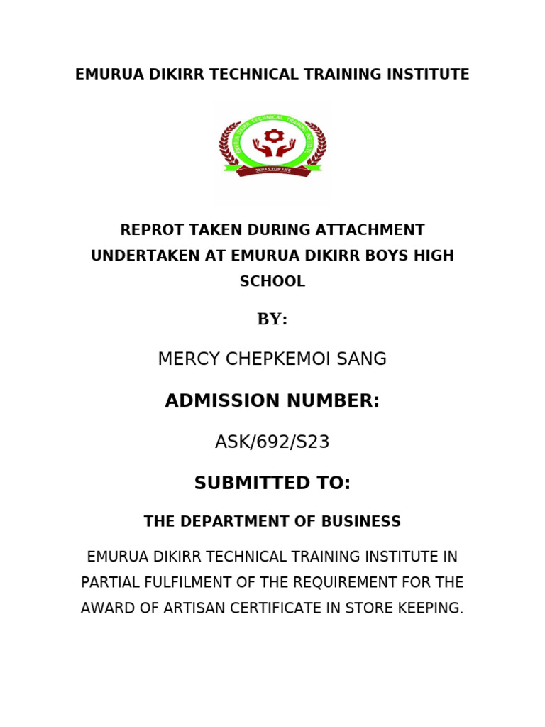 Mercy Chepkemoi Sang STORE REPORT | PDF | Libraries | School Library