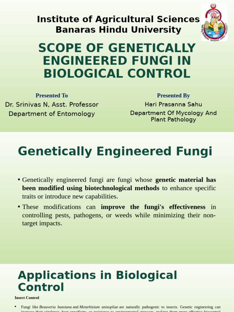 Genetic Improvemen of Fungi in BC | PDF | Plasmid | Fungus