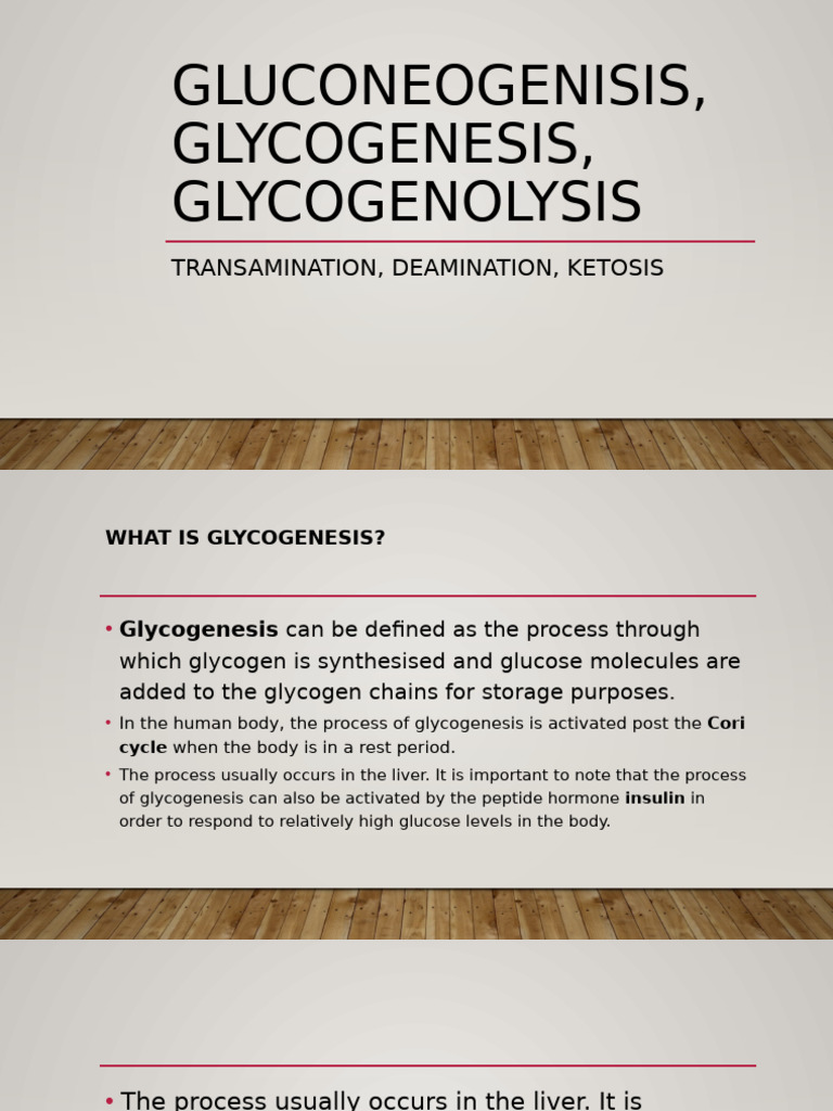 Gluconeogenisis, Glycogenesis, Glycogenolysis | PDF | Glycogen | Glucose