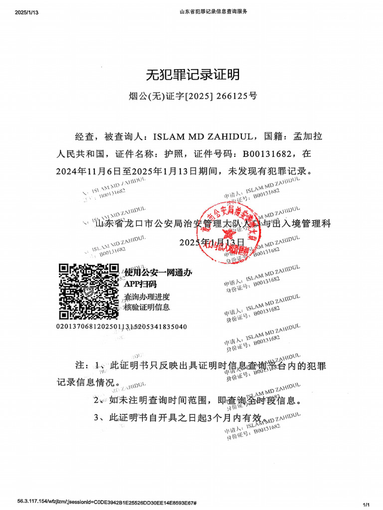 Certificate of No Criminal Record | PDF