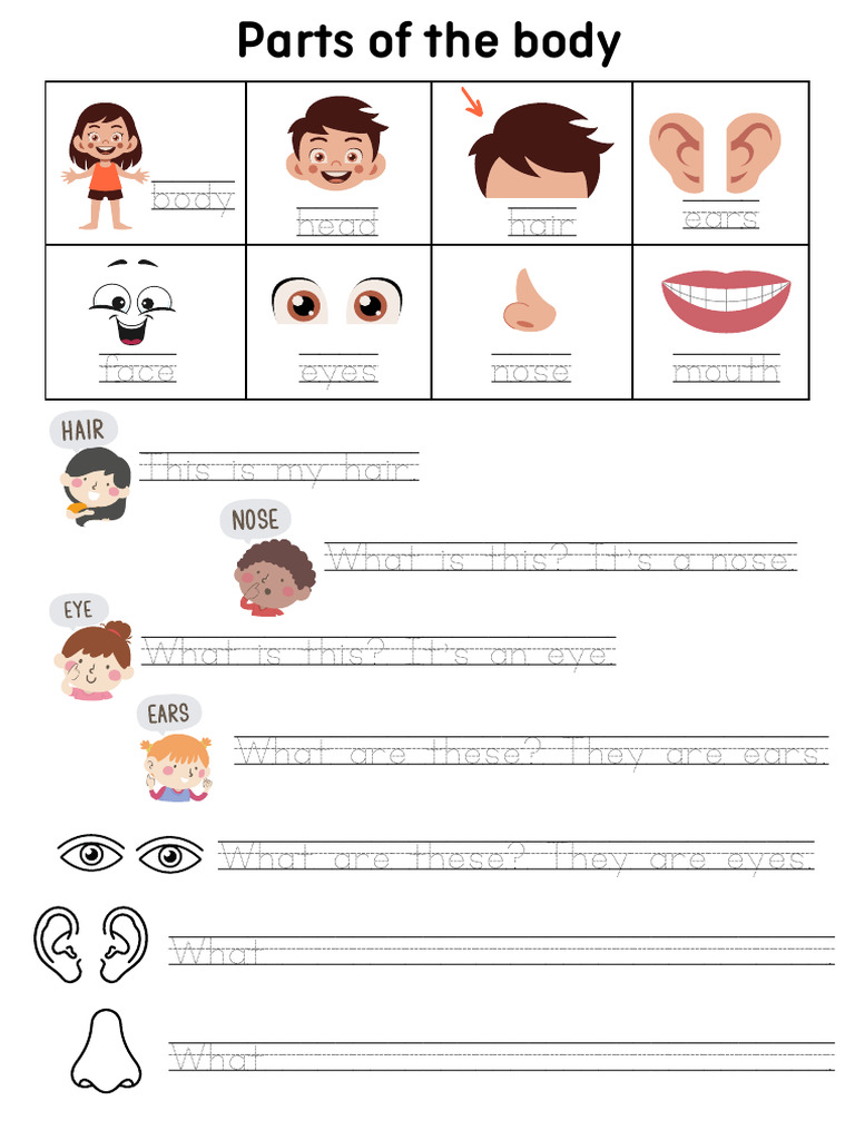 Look at The Pictures and Write The Names of The Parts of The Body | PDF