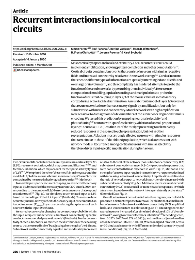 Recurrent Interactions in Local Cortical Circuit | PDF | Cerebral ...