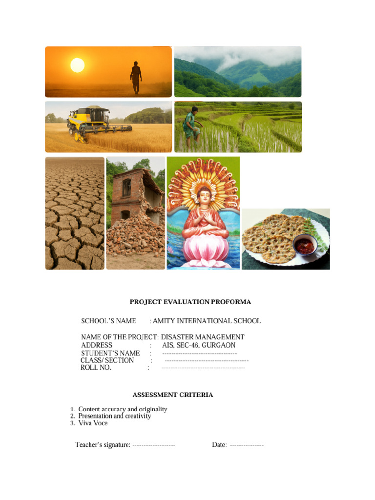 Prinouts Colored | PDF