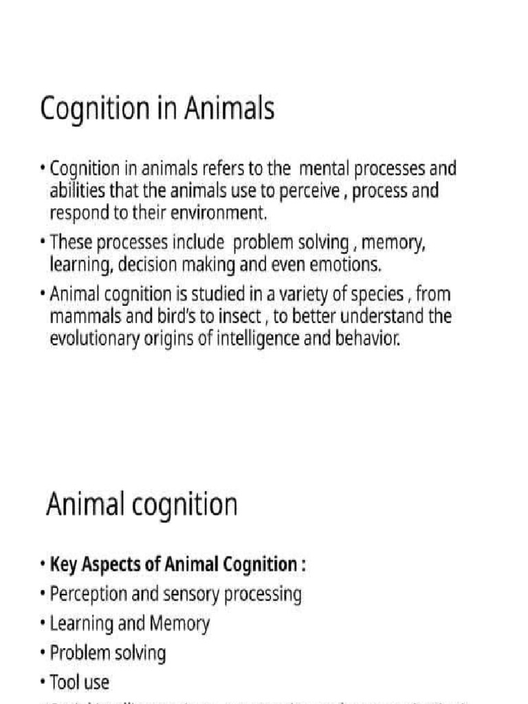 Cognition in Animals | PDF