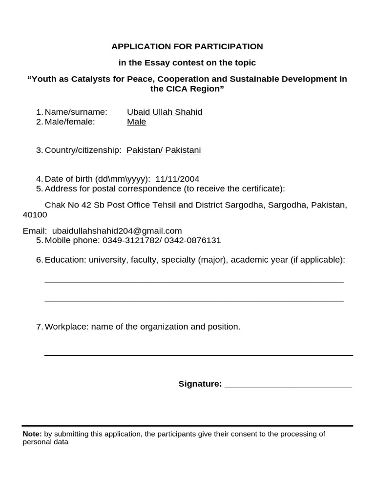 CİCA Essay Contest Application Form - 2025 | PDF