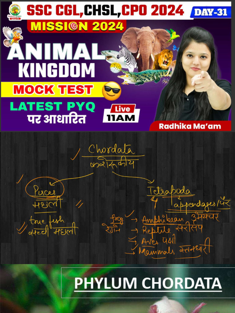 Chordata and Animal Classification Quiz | PDF | Zoology