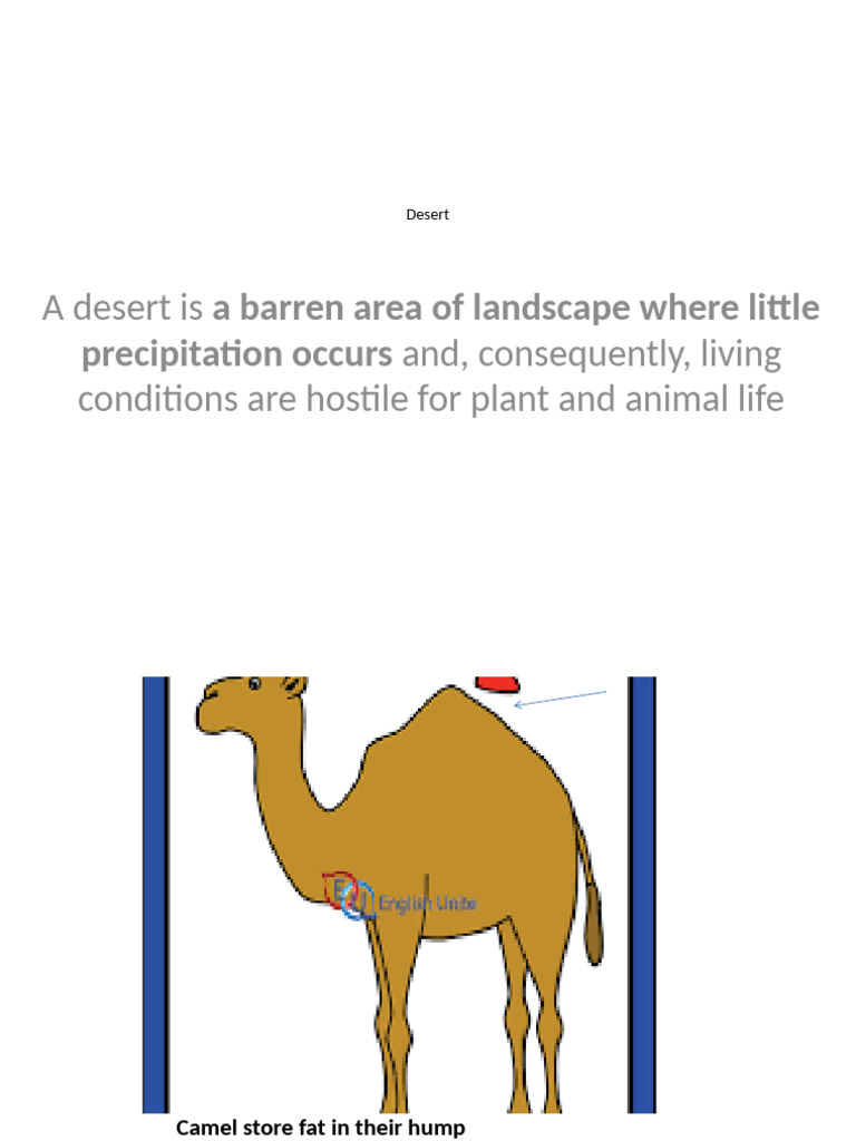 Desert | PDF