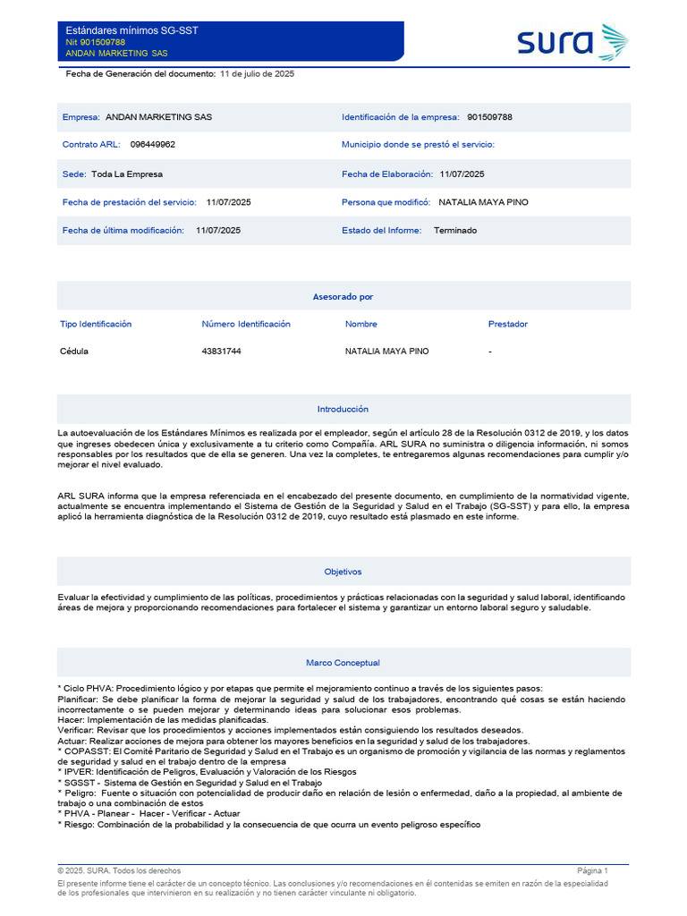 Estándares Mínimos SG-SST 2025 | PDF | Seguridad y salud ocupacional ...