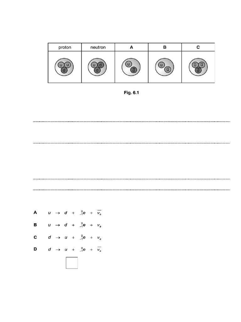 Understanding 12 Fundamental Particles | PDF | Neutron | Quark