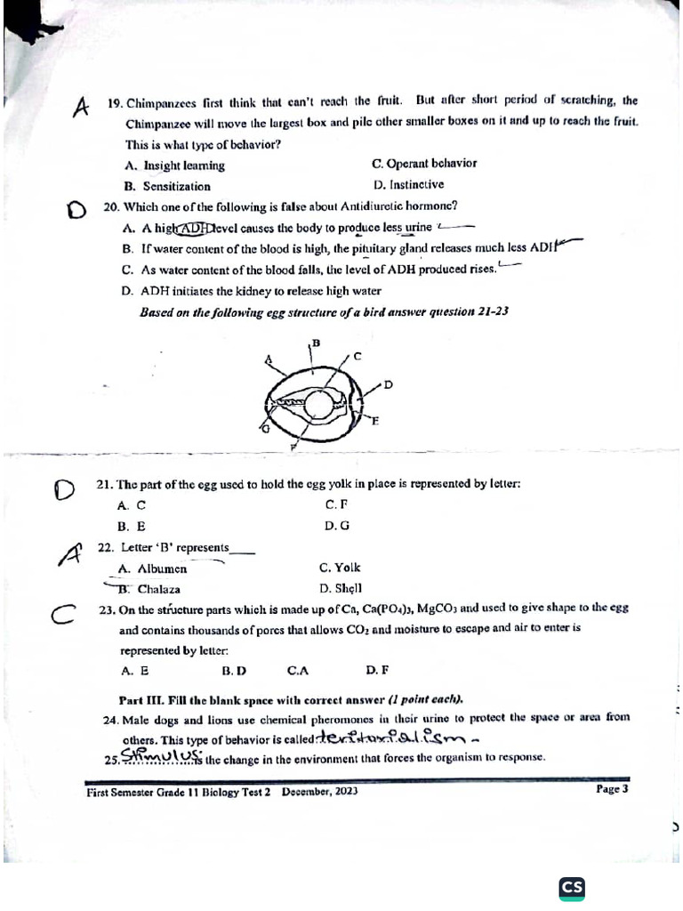 g11 1st Semester 2nd Test | PDF