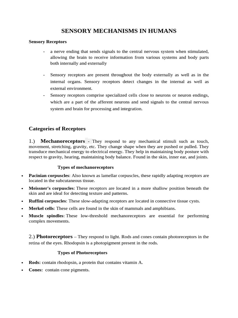 Human Sensory Mechanisms Explained | PDF | Stimulus (Physiology ...