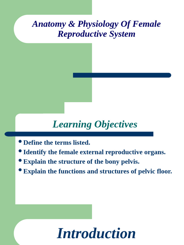 Anatomy Physiology of Female Reproductive System (1) - 1 | PDF | Pelvis ...