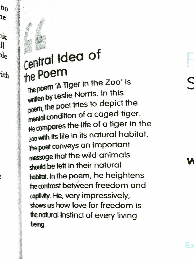 A Tiger in The Zoo by Leslie Norris | PDF | Tiger | Poetry