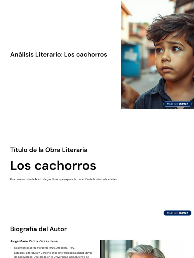 Analisis Literario Los Cachorros | PDF | Novelas | Escritura