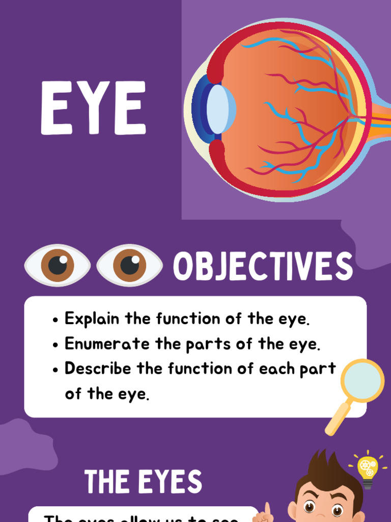 Parts of The Eye Science Presentation in Purple Illustrative Style | PDF