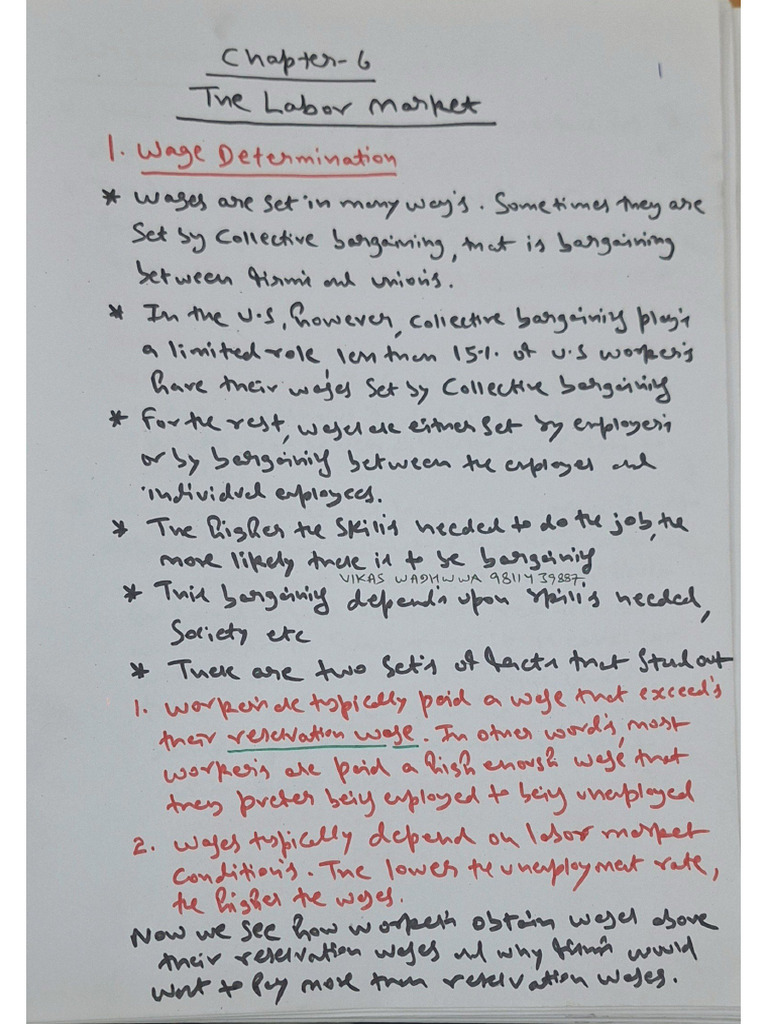 CH 6 Blanchard Macro Labor Market | PDF