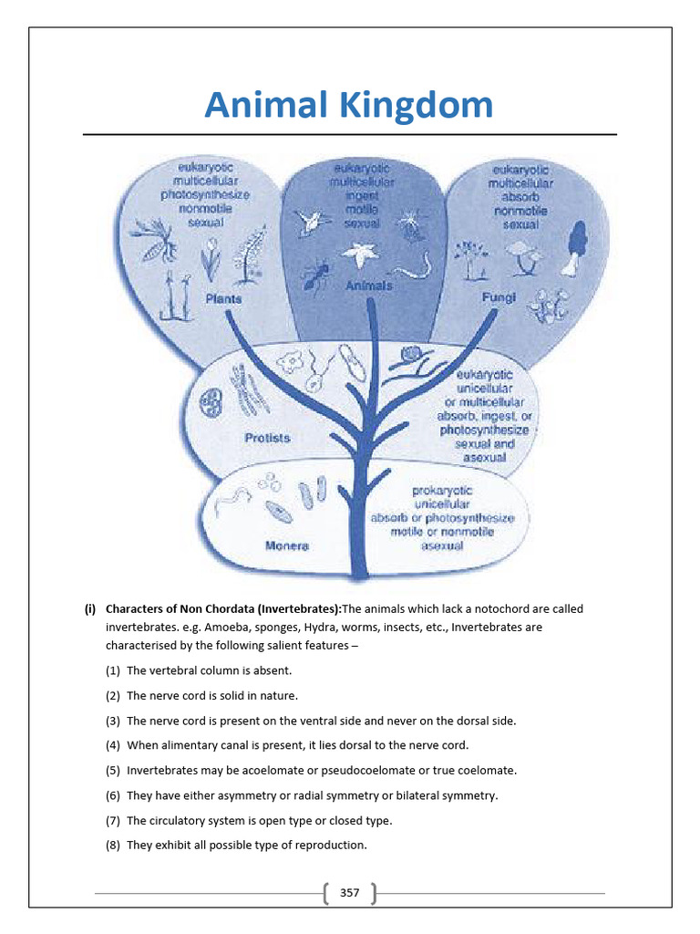 Animal Kingdom: (I) Characters of Non Chordata (Invertebrates) | PDF