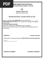 661026820 Elements and Principles of Design Quiz | PDF | Color | Graphics