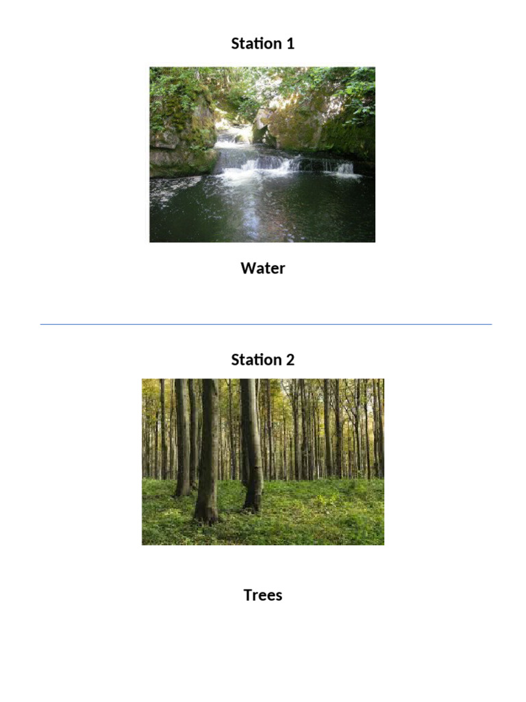 Biotic - Abiotic Stations | PDF