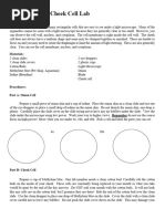 Human Cheek Cells | PDF