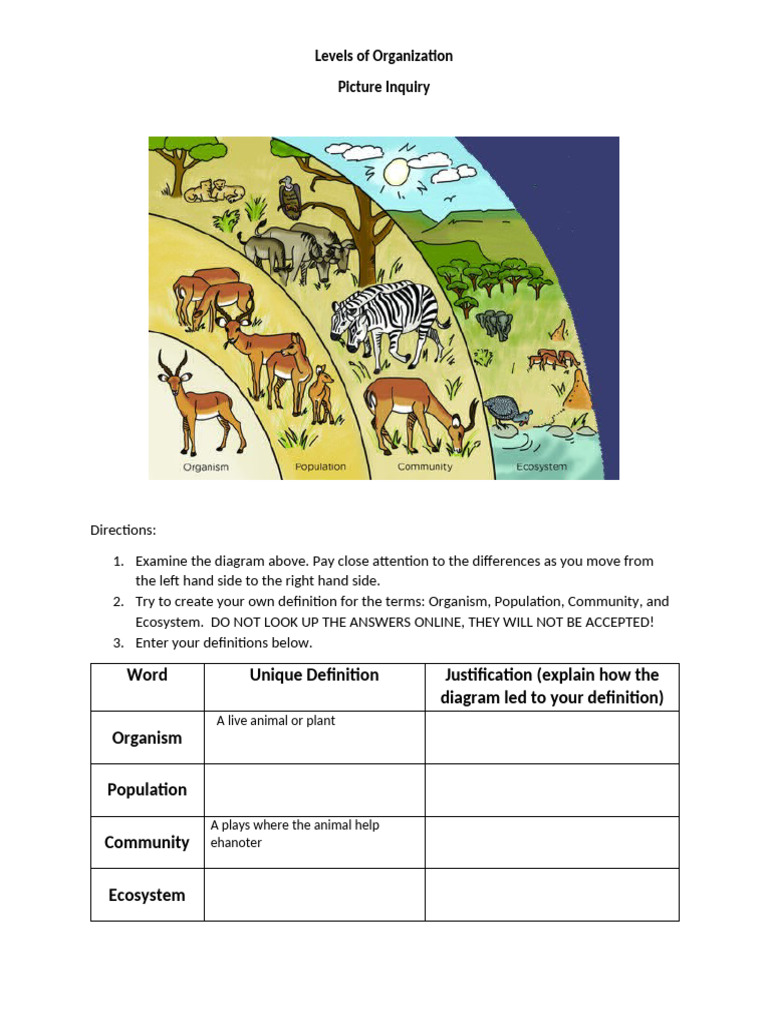 Levels of Organization Picture Inquiry | PDF
