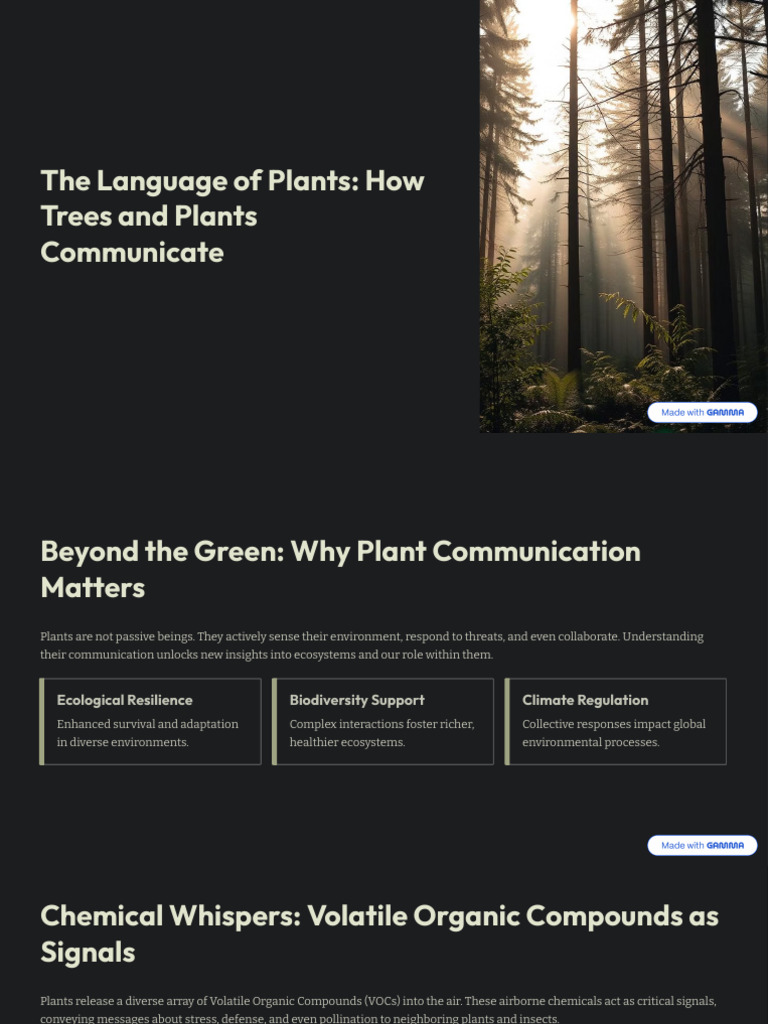 The Language of Plants How Trees and Plants Communicate | PDF | Nature ...